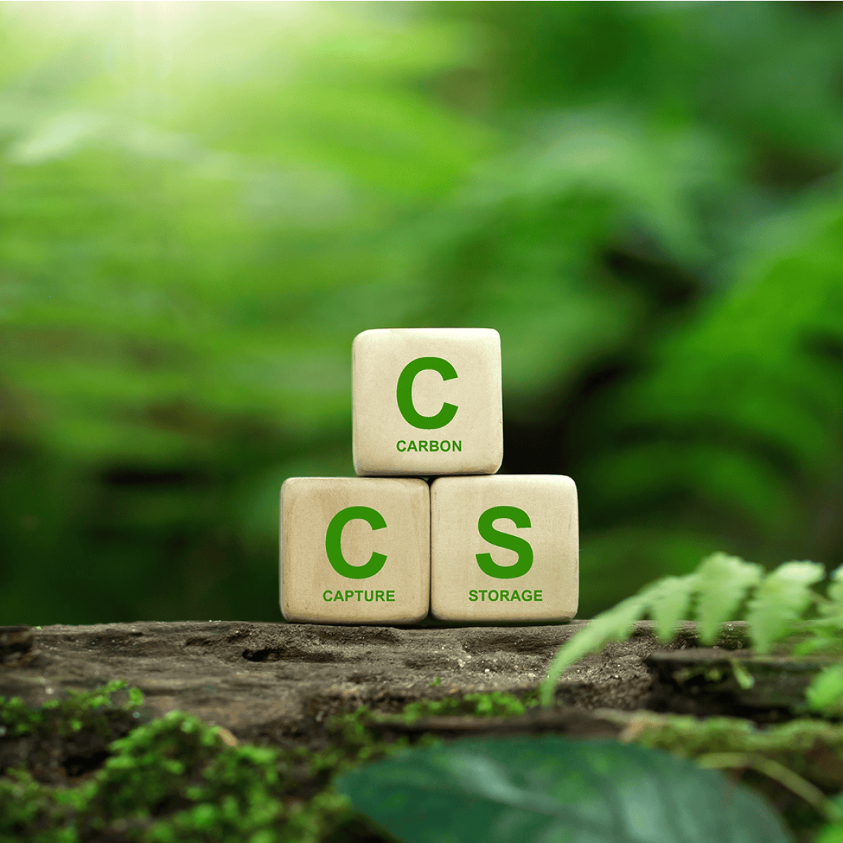 Importance of an Integrated Asset Model in CCS Applications | KBC